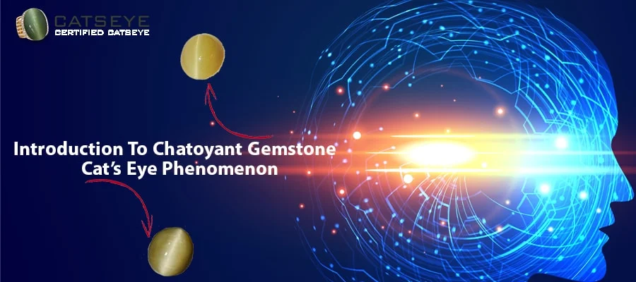 Introduction To Chatoyant Gemstone - Cat’s Eye Phenomenon