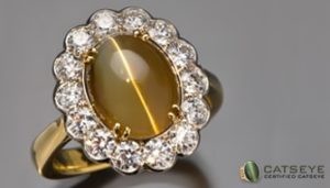 The Mystical World Of Cats Eye Gemstone